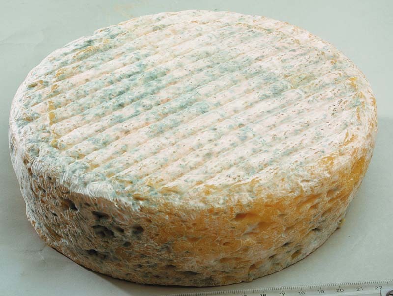 Tomme de Lozère • Fromage